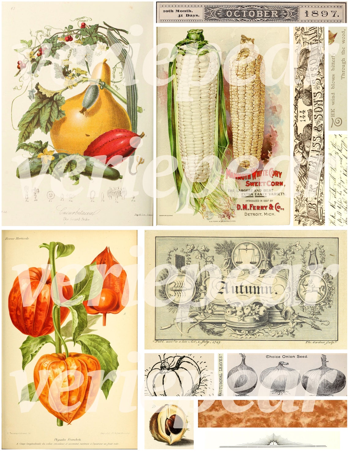 Vintage Fall Ephemera 55 Pc Printable Autumn Junk Journal - Etsy
