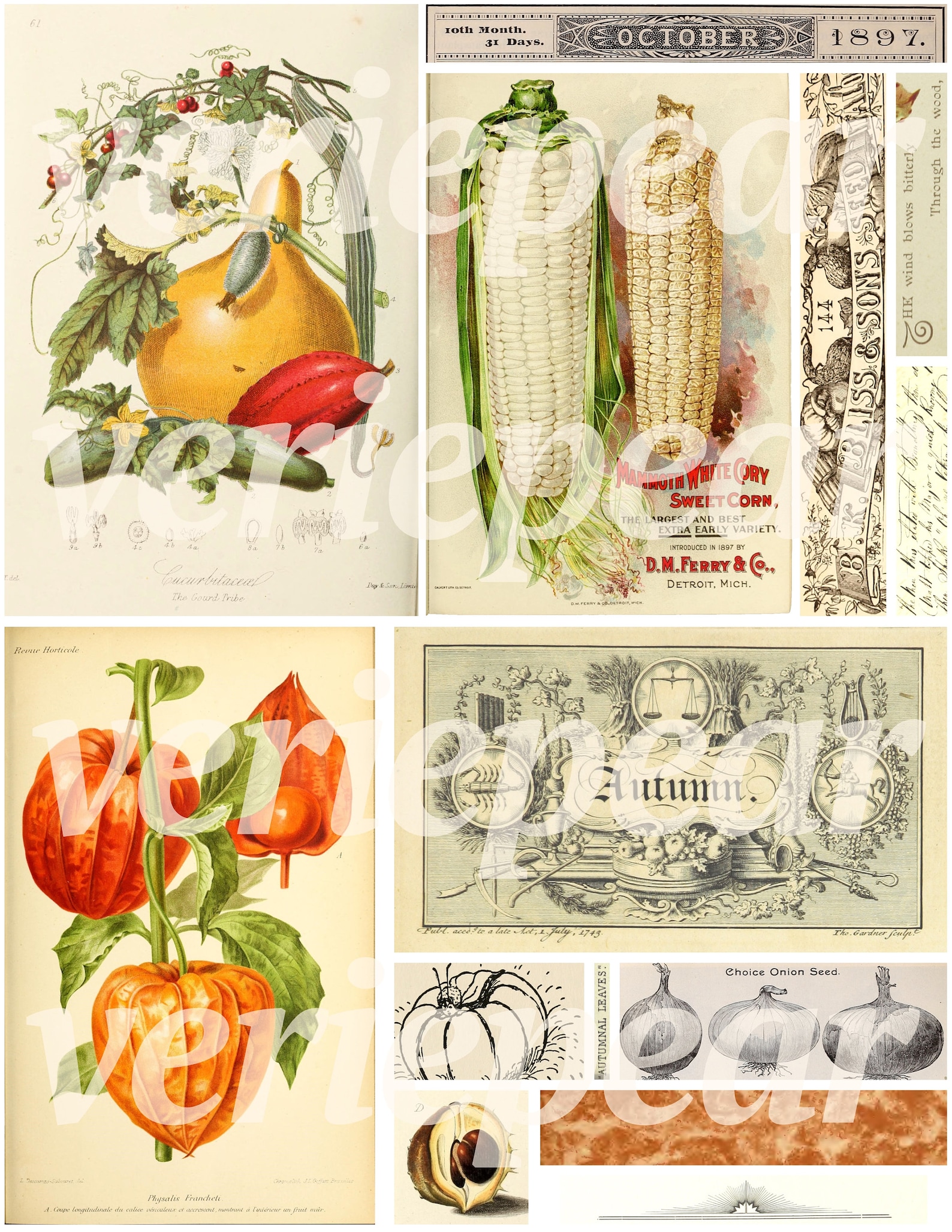 Vintage Fall Ephemera 55 Pc Printable Autumn Junk Journal - Etsy