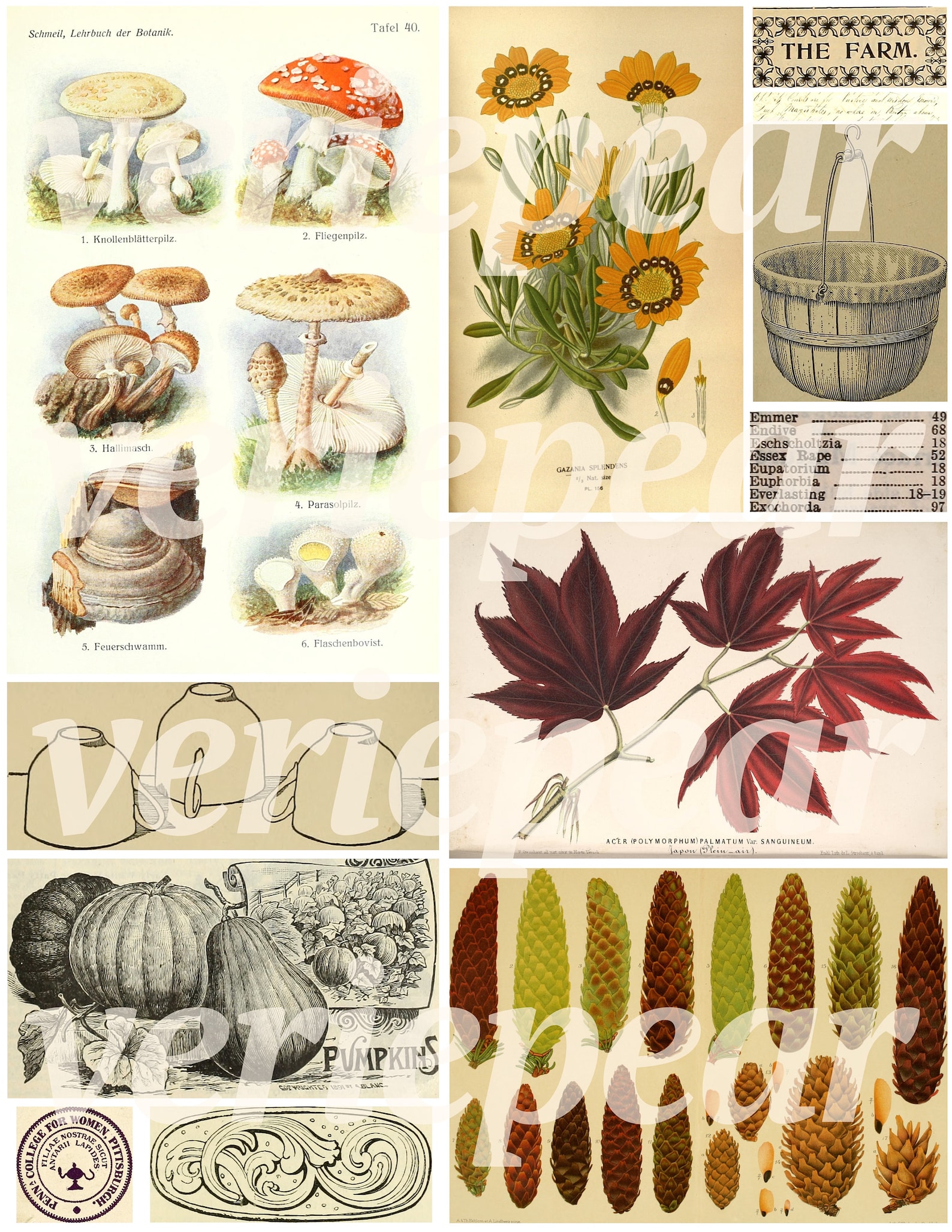 Vintage Fall Ephemera | 55+ Pc | Printable Autumn Junk Journal Paper ...