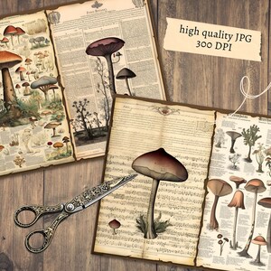 Mushroom Journal Pages, Digital Fungi Junk Journal Paper, Printable ...