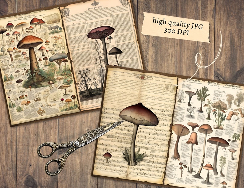 Mushroom Journal Pages, Digital Fungi Junk Journal Paper, Printable ...