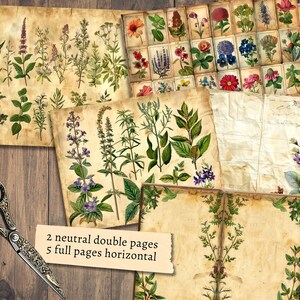Botanical Herbs Junk Journal Kit, Digital Scrapbook Paper, Apothecary ...