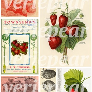 Vintage Strawberry Ephemera, Printable Junk Journal Paper, Digital ...