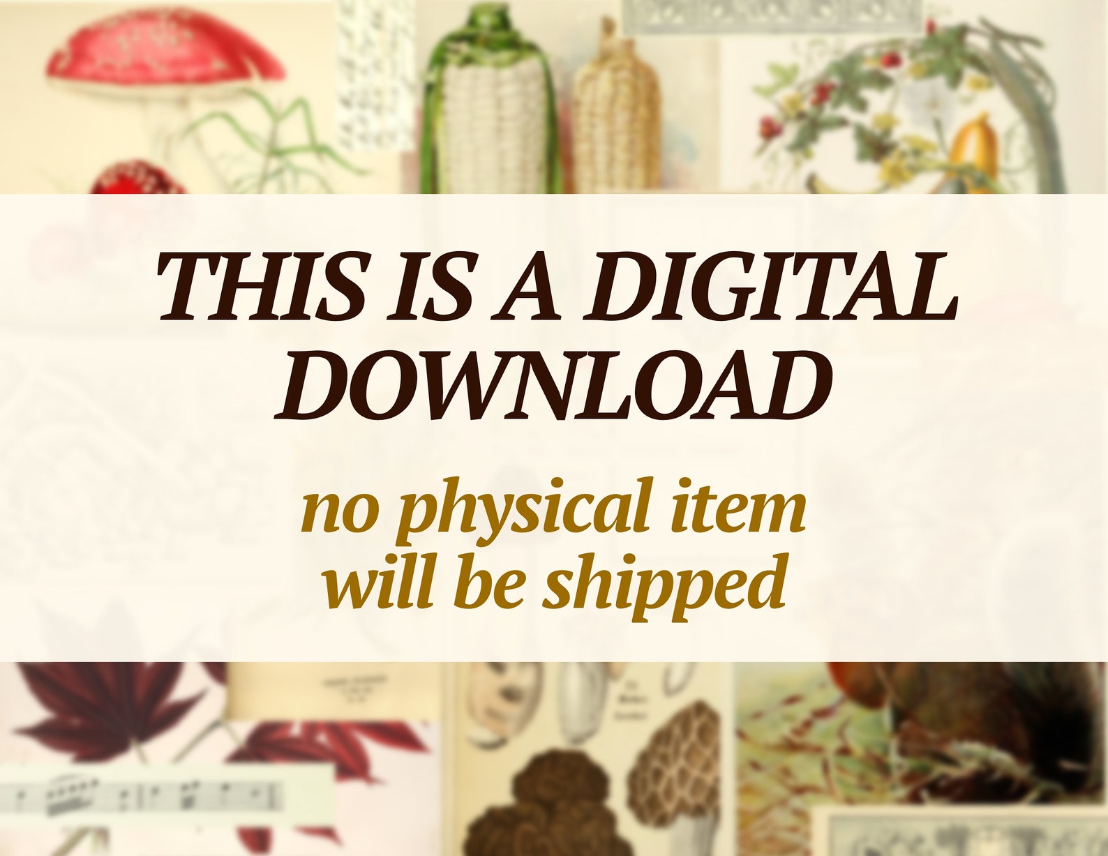 Vintage Fall Ephemera 55 Pc Printable Autumn Junk Journal - Etsy