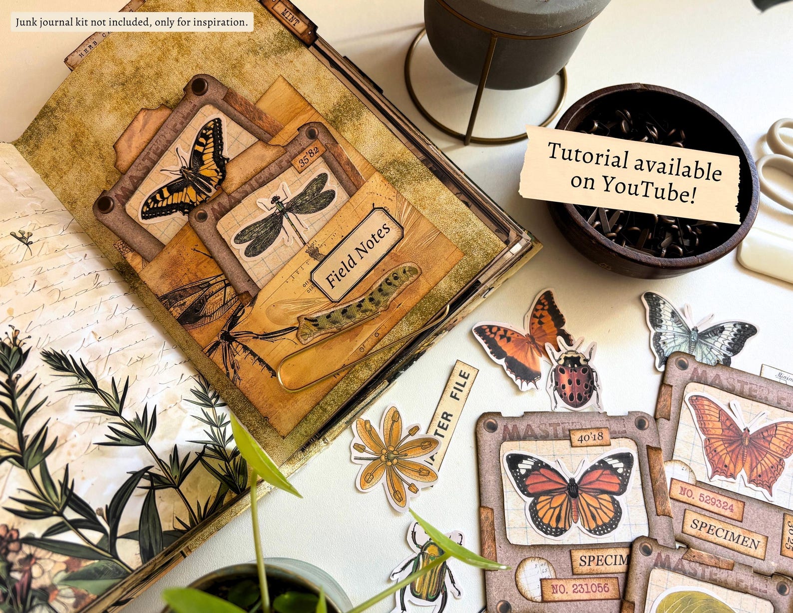 Specimen Slide Kit, Digital Insect Ephemera, Entomology Printable ...