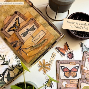 Specimen Slide Kit, Digital Insect Ephemera, Entomology Printable ...