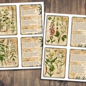 Medicinal Herb Journaling Cards, Digital Scrapbook Paper, Herbal ...