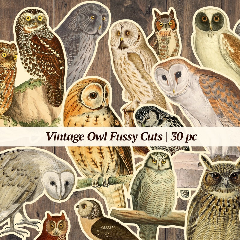 Owl House Stamperia - Etsy