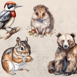Woodland Animals Watercolor Clipart, Vintage Forest Animals PNG ...