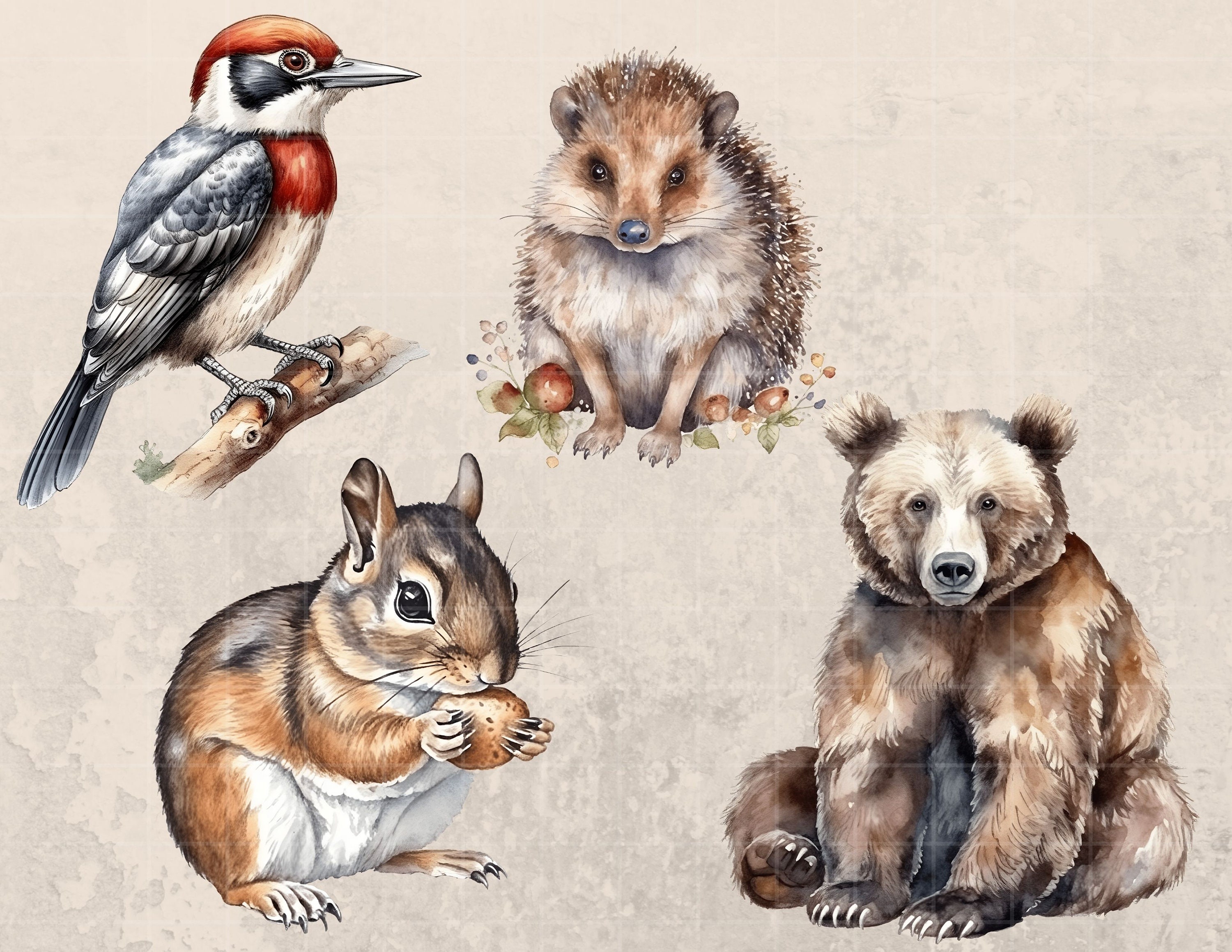 Woodland Animals Watercolor Clipart, Vintage Forest Animals PNG ...
