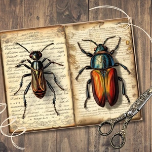 Vintage Insects Junk Journal Pages, Digital Scrapbook Paper Kit ...