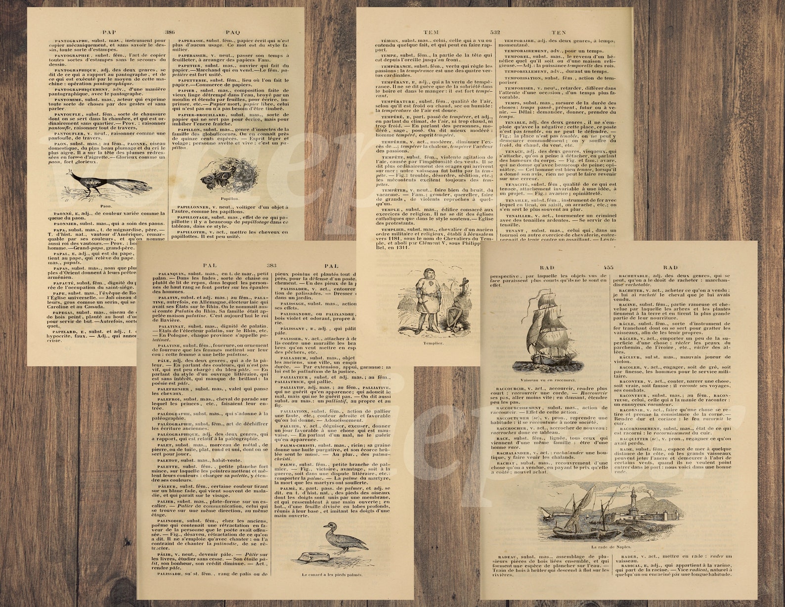 Vintage French Dictionary Pages | 22 Pc | Digital Junk Journal Ephemera ...