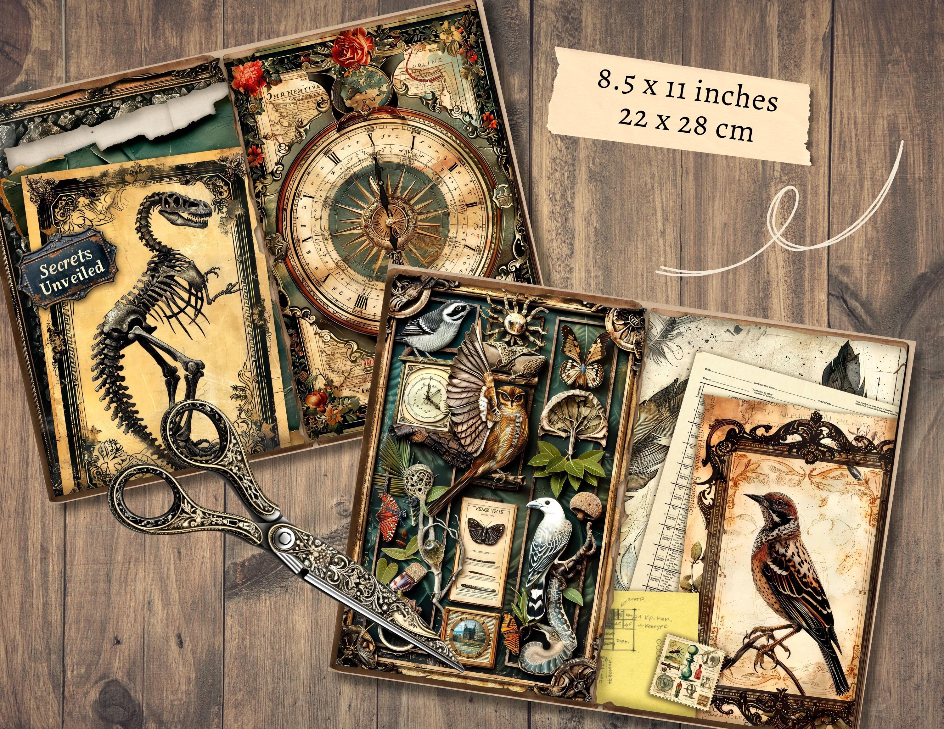 Cabinet of Curiosities Junk Journal Pages, Digital Scrapbook Paper Kit ...