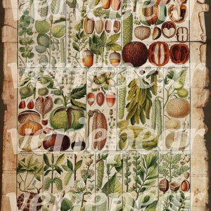 Vintage Fall Junk Journal Pages | 5 Pc | Digital Journaling Ephemera ...