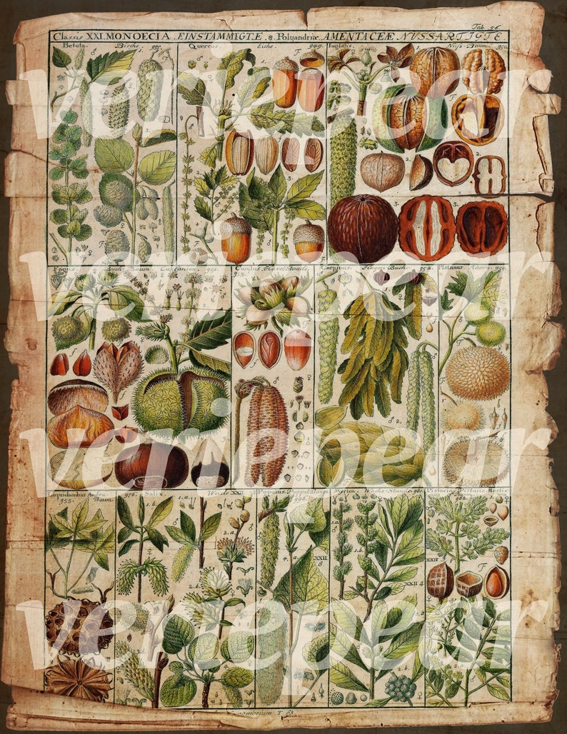 Vintage Fall Junk Journal Pages | 5 Pc | Digital Journaling Ephemera ...
