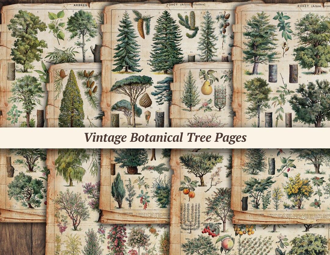 Vintage Botanical Tree Pages | Printable Junk Journal Paper, Digital ...