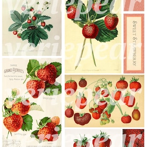 Vintage Strawberry Ephemera, Printable Junk Journal Paper, Digital ...