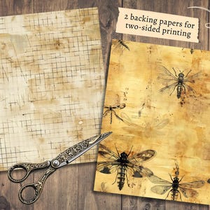 Specimen Slide Kit, Digital Insect Ephemera, Entomology Printable ...