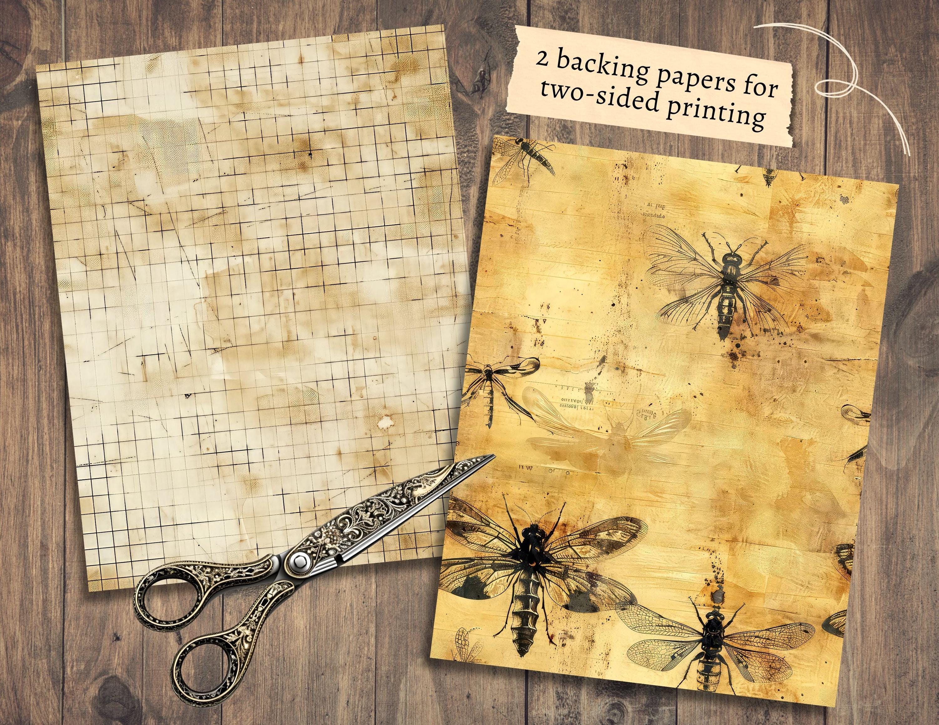 Specimen Slide Kit, Digital Insect Ephemera, Entomology Printable ...