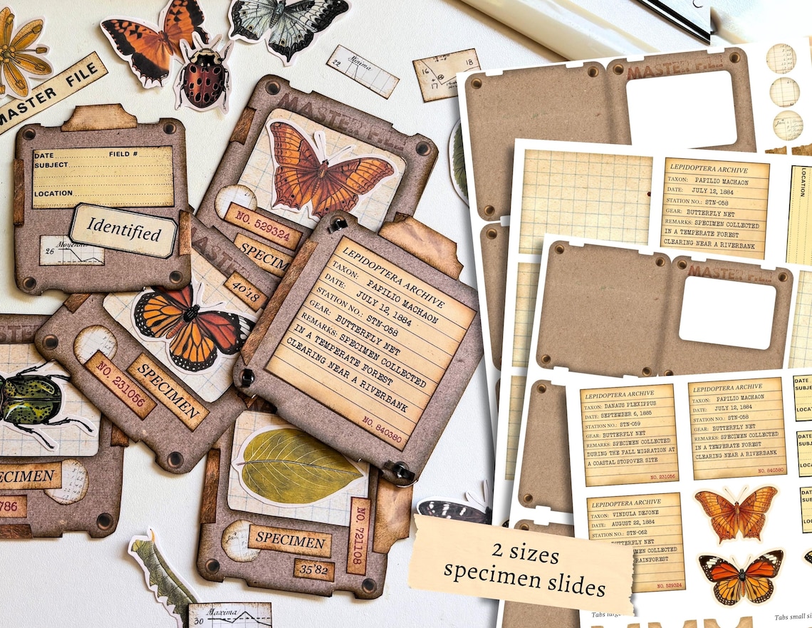 Specimen Slide Kit, Digital Insect Ephemera, Entomology Printable ...