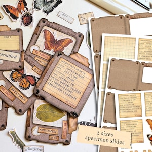 Specimen Slide Kit, Digital Insect Ephemera, Entomology Printable ...