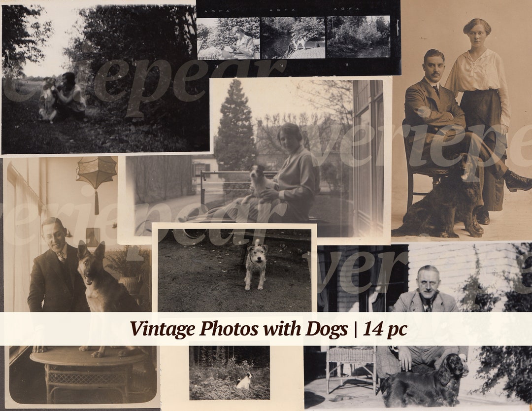 Vintage Photos With Dogs | 14x | Printable Pet Photographs | Victorian ...