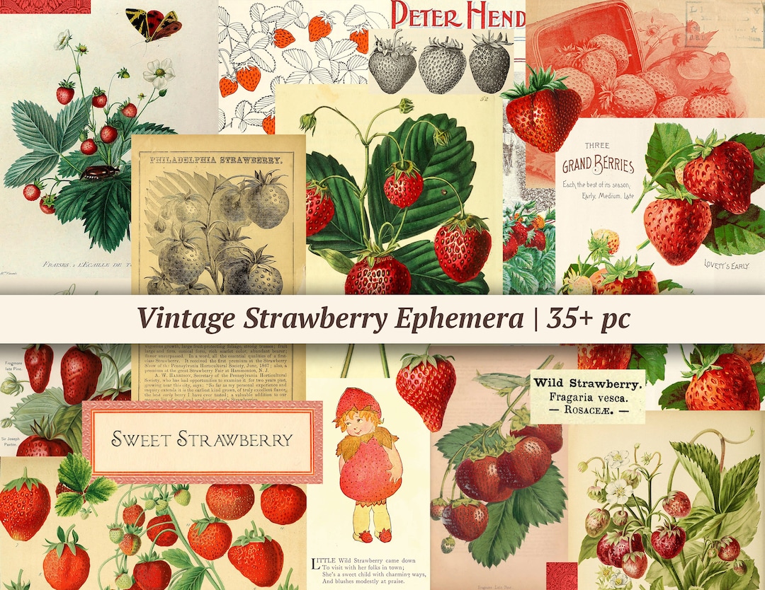 Vintage Strawberry Ephemera, Printable Junk Journal Paper, Digital ...