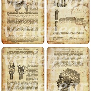 Vintage Anatomical Journaling Cards | 20 Pc | Printable Anatomy Junk ...