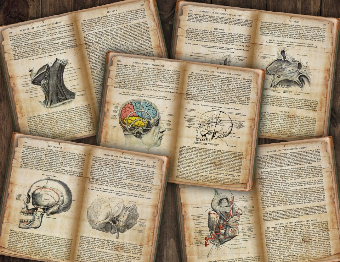 Human Anatomy Printable Book Pages | Head, Brain, Neck | Vintage ...