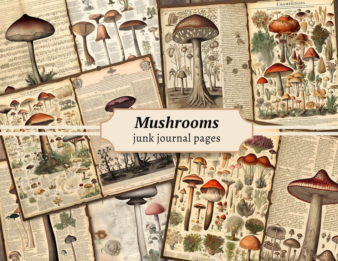 Mushroom Journal Pages, Digital Fungi Junk Journal Paper, Printable ...