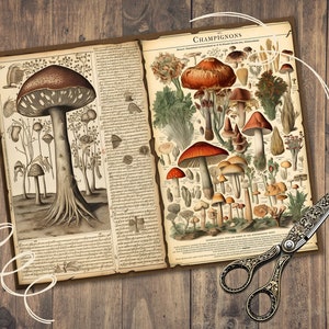 Mushroom Journal Pages, Digital Fungi Junk Journal Paper, Printable ...