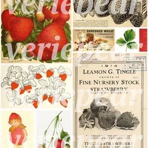 Vintage Strawberry Ephemera, Printable Junk Journal Paper, Digital ...