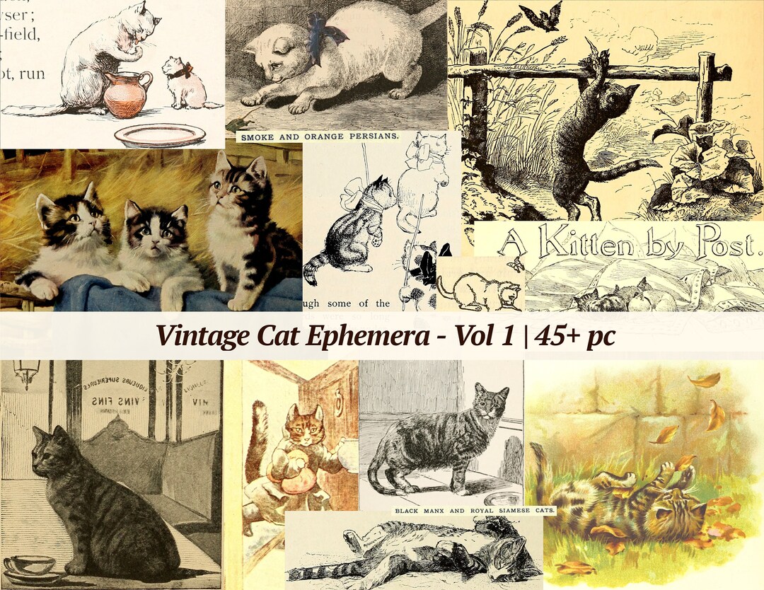 Vintage Cat Ephemera | 45+ Pc | Vol 1 | Printable Junk Journal Paper ...