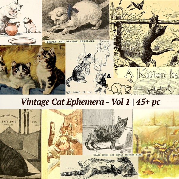 Cat Pc Gifts - 60+ Gift Ideas for 2026