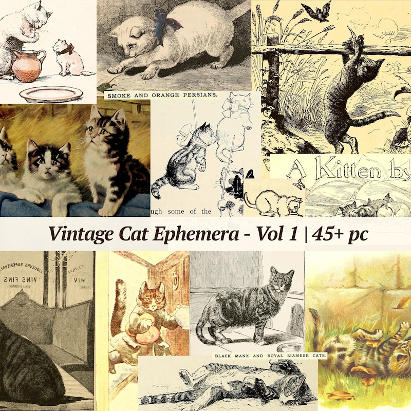 Kitsch Vintage Kittens - Etsy