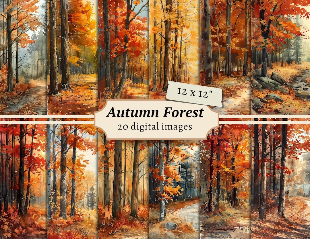 Autumn Forest Digital Papers, Junk Journal Page, Woodland Scrapbook Kit ...