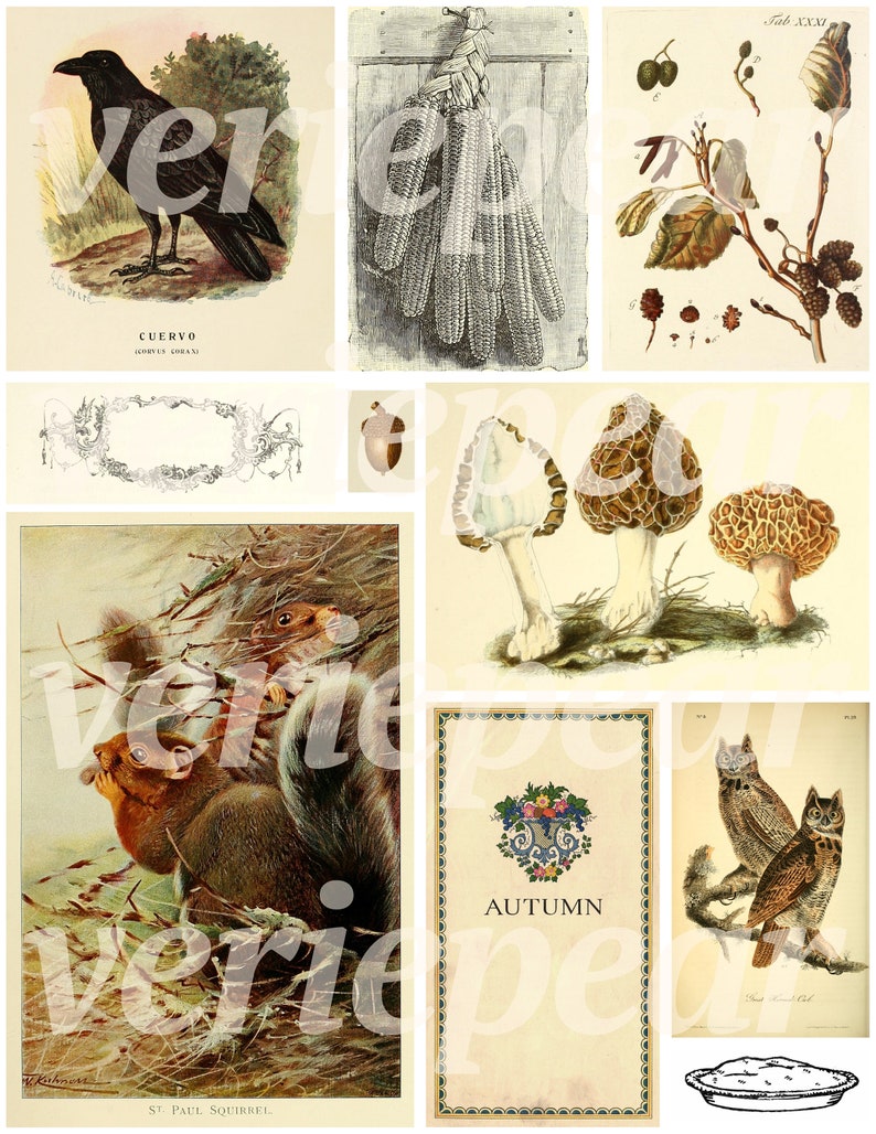 Vintage Fall Ephemera 55 Pc Printable Autumn Junk Journal - Etsy