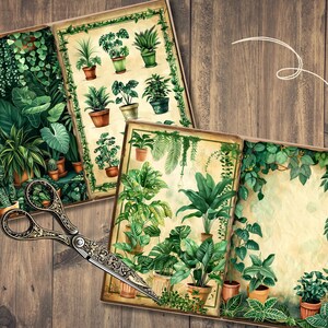 Houseplants Junk Journal Pages, Digital Scrapbook Paper Kit, Botanical ...