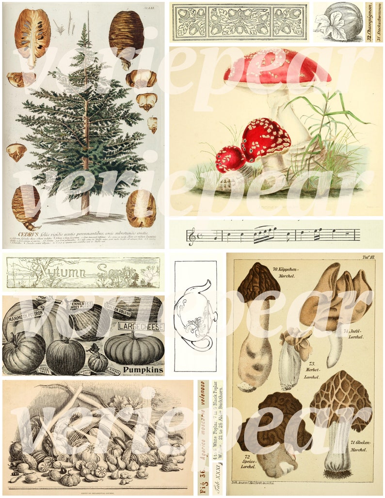 Vintage Fall Ephemera | 55+ Pc | Printable Autumn Junk Journal Paper ...