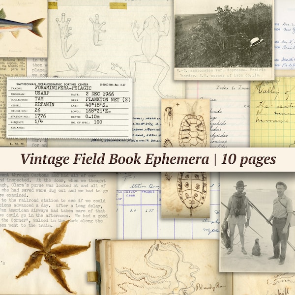 Field Notes Cover - Etsy