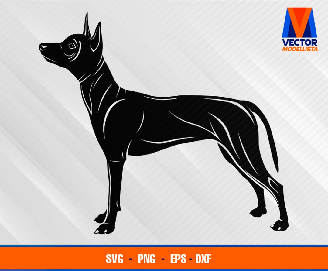 Xoloitzcuintli Profile EPS - SVG - PNG - Dxf Vector Art - Cricut ...