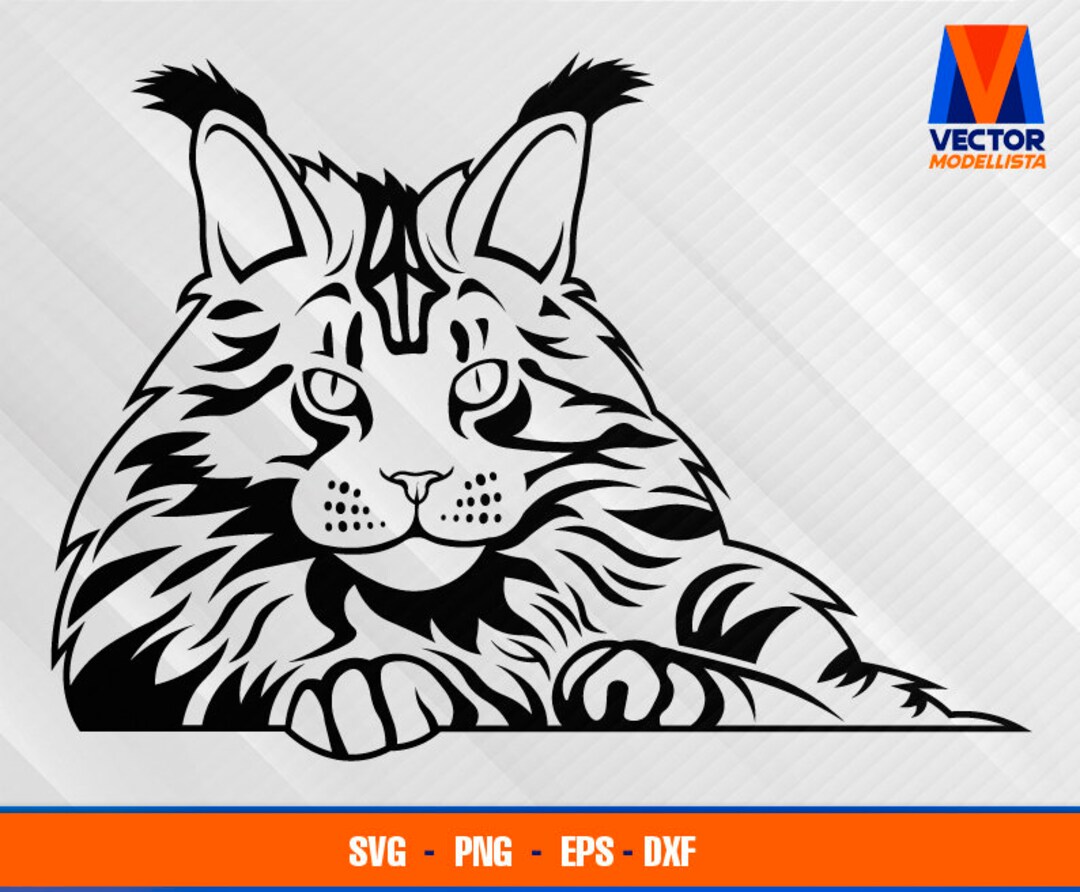 Maine Coon EPS - SVG - PNG - Dxf Vector Art - Cricut - Silhouet Cameo ...