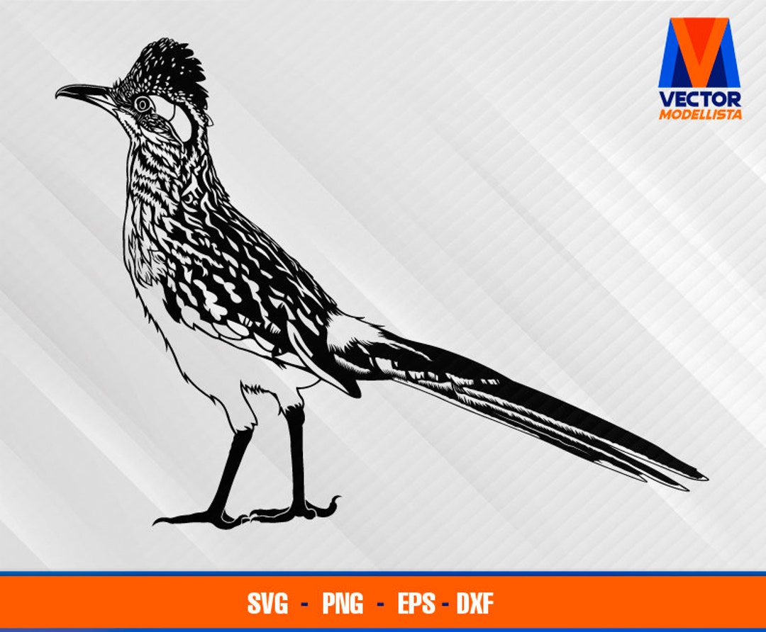 Greater Roadrunner EPS - SVG - PNG - Dxf Vector Art - Cricut ...