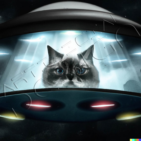 Grumpy Cat In Space