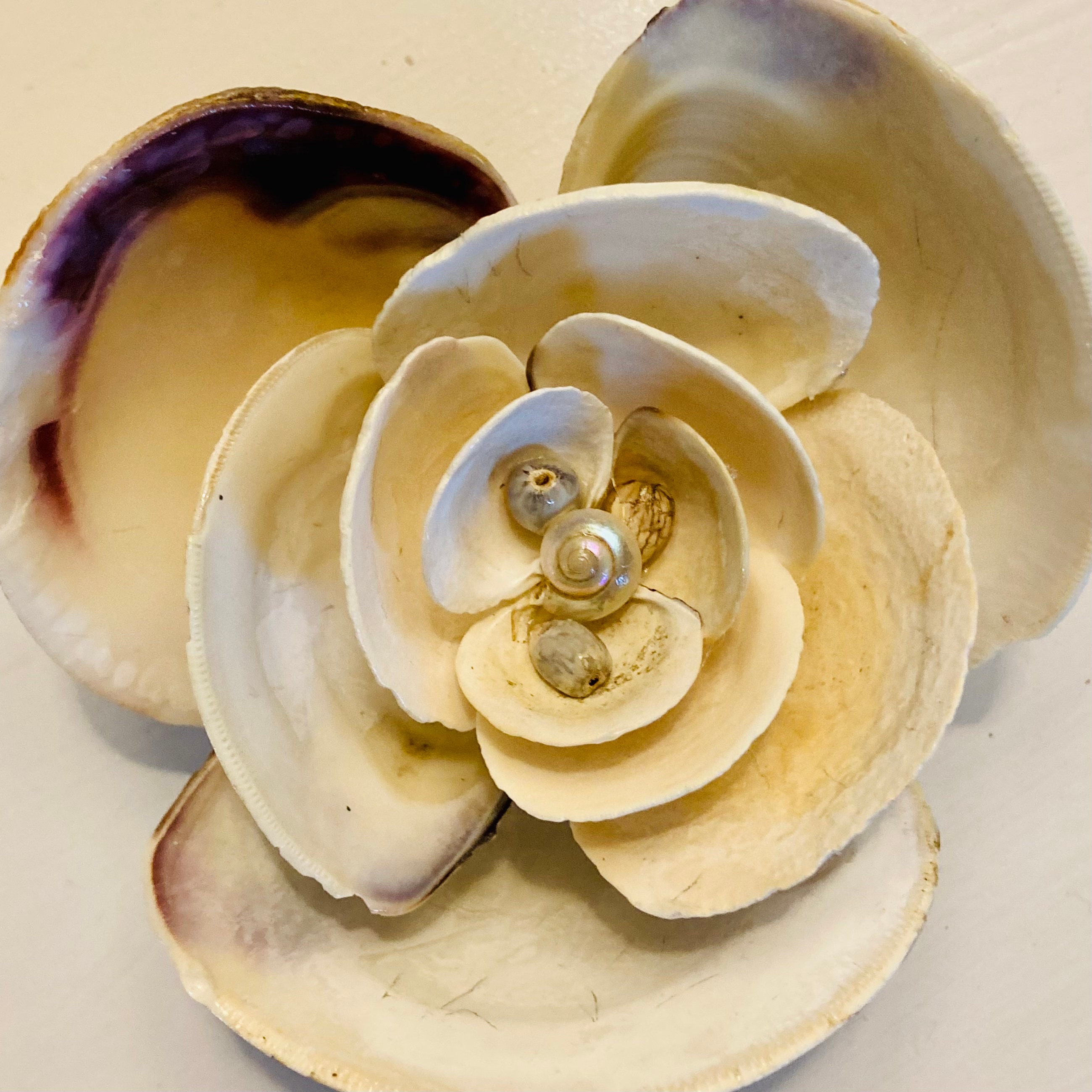 Shell Flowers Beach Wedding - Etsy