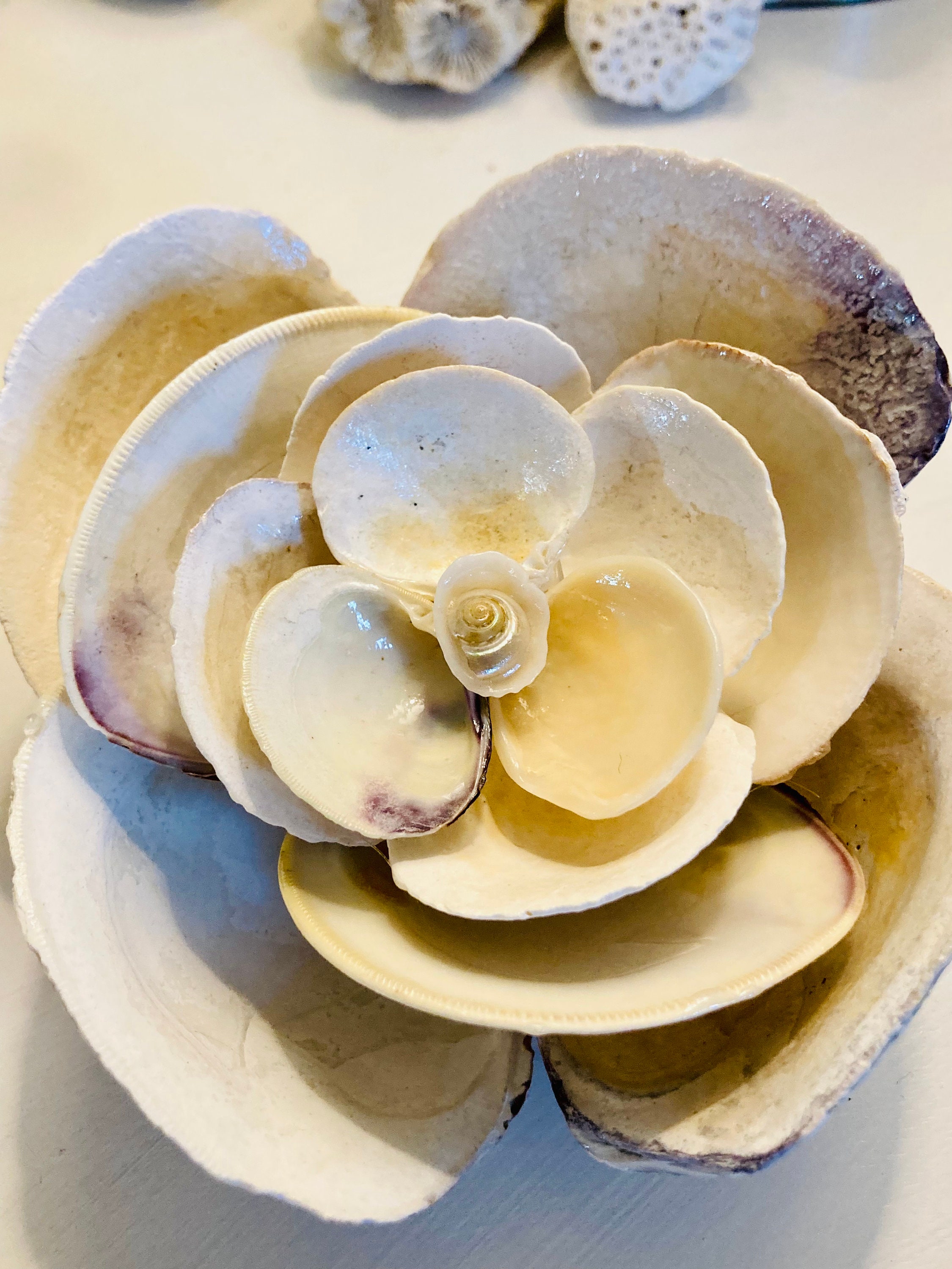 Shell Flowers Beach Wedding - Etsy