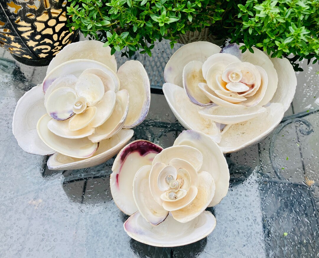 Shell Flowers Beach Wedding - Etsy