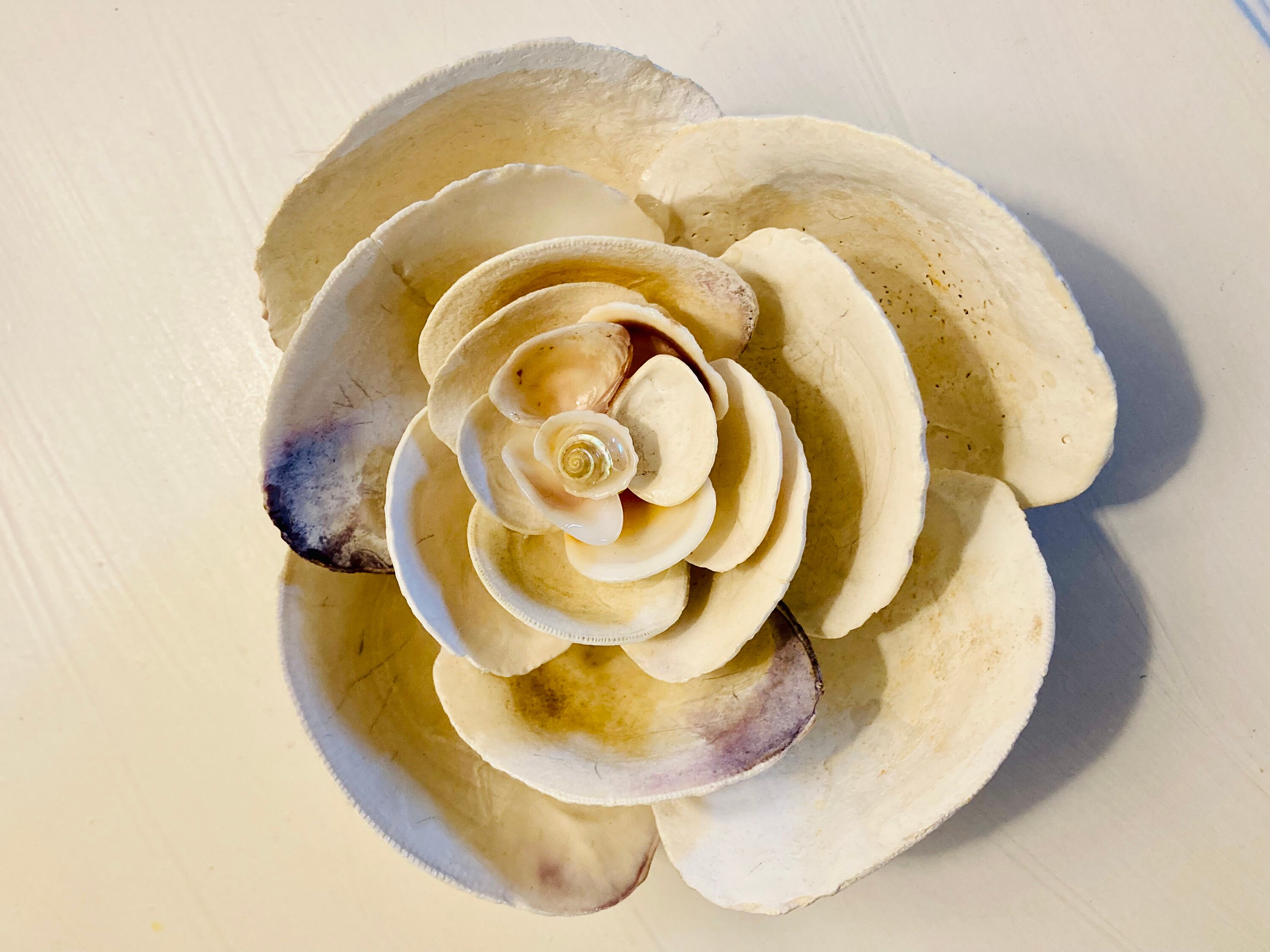 Shell Flowers Beach Wedding - Etsy