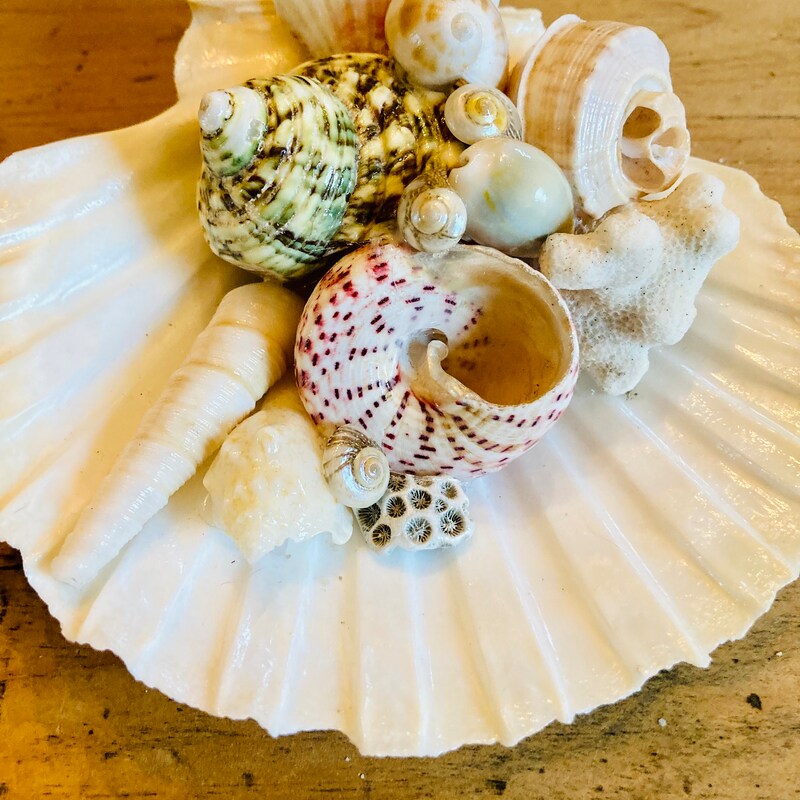 Beach Wedding Centerpiece - Etsy