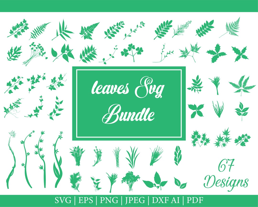 Leaf Svg Bundle Leaf Shape Silhouette Svg Leaves Svg Bundle - Etsy
